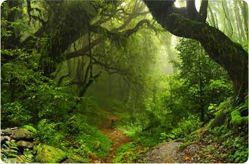 Bandes son / voix off / musiques / design sonore - studio rrc